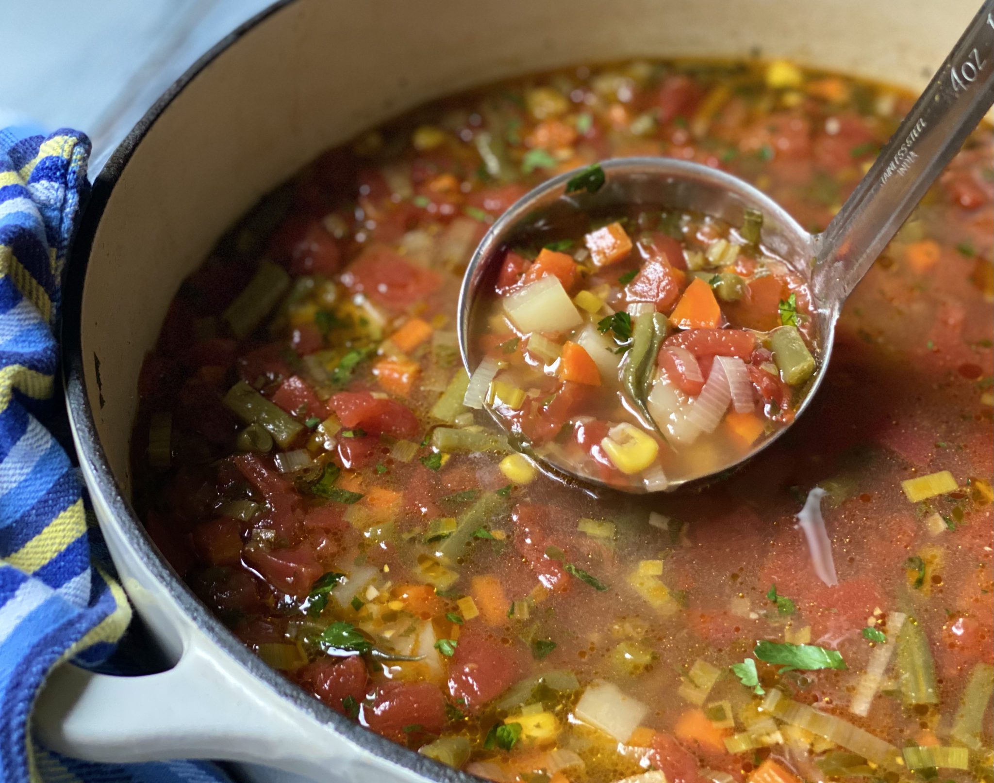 Garden Vegetable Soup Recipe | Alton Brown