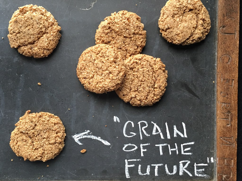 Gluten-Free Amaranth Wafer Cookies Recipe - Alton Brown